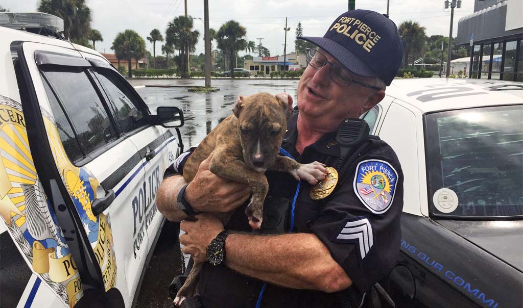 Puppy Adopted By Police Officer In Florida Before Hurricane Dorian Hit