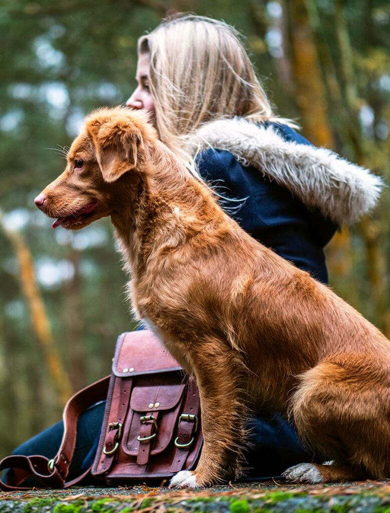 How to Show Your Dog YOU Are the Alpha