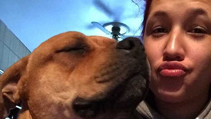 Owner Searches Sites To Adopt A Pet And Finds Dog She Lost Over Two ...